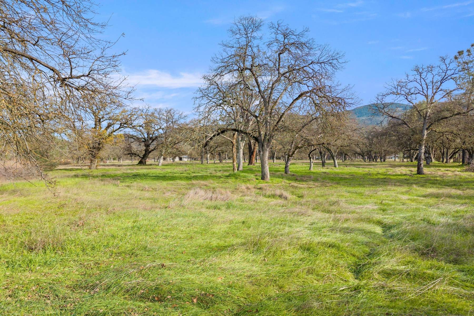 4962 Gaddy Lane, Kelseyville, CA 95451